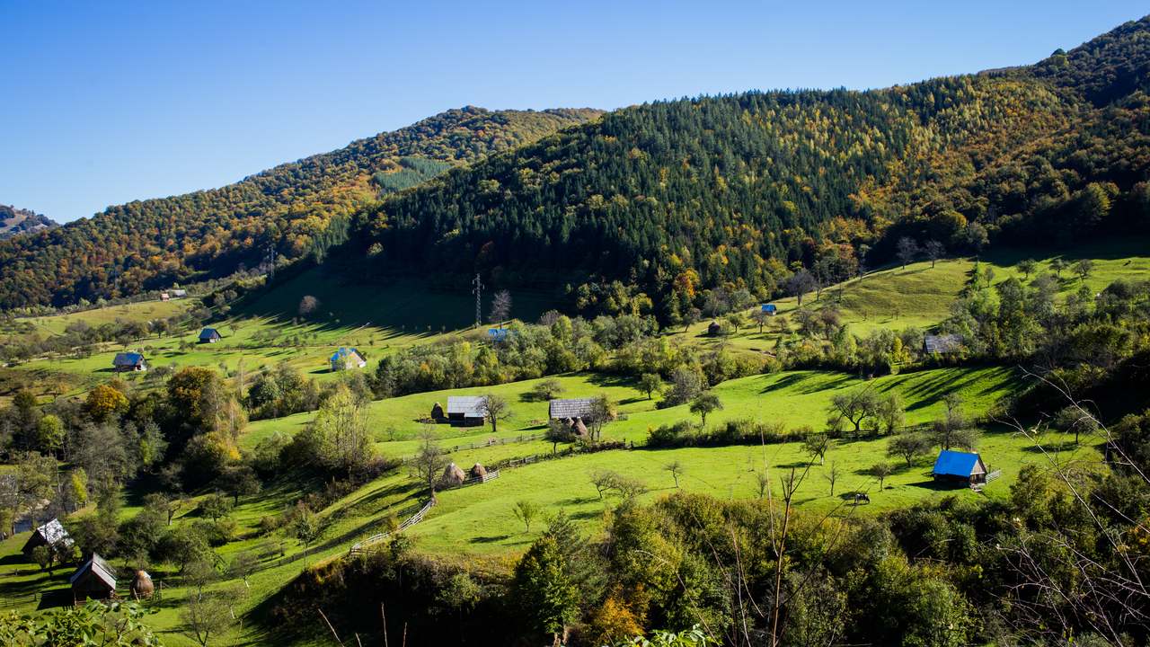 Râu Sadului - cooperaregalcindrel-fagaras.ro